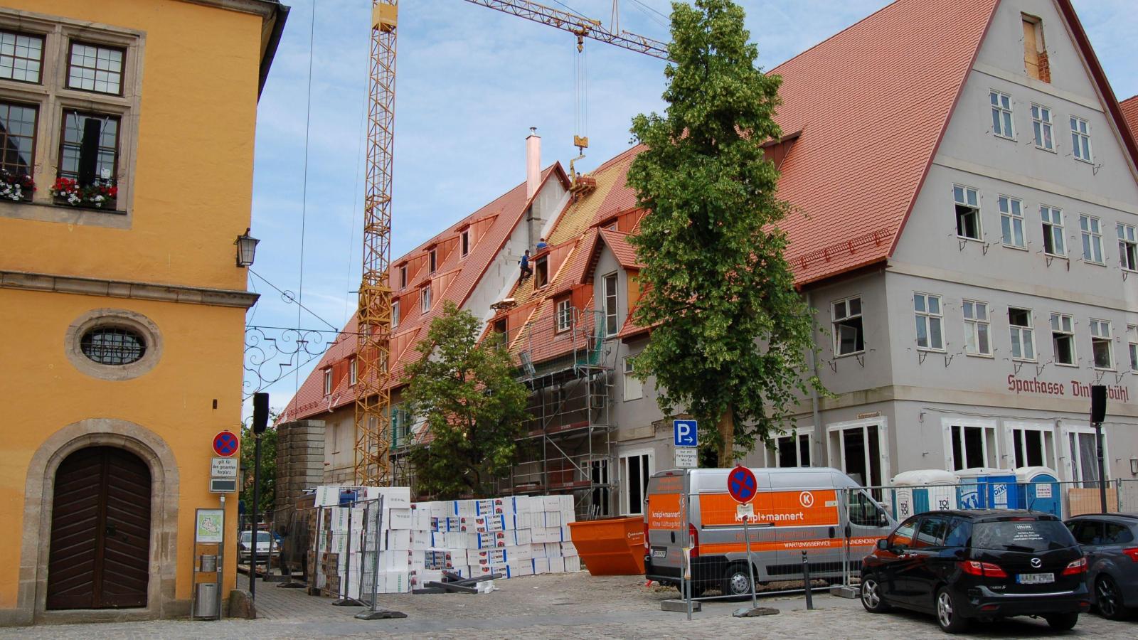 Prägende Linde weicht in Dinkelsbühl einer Platane | FLZ.de