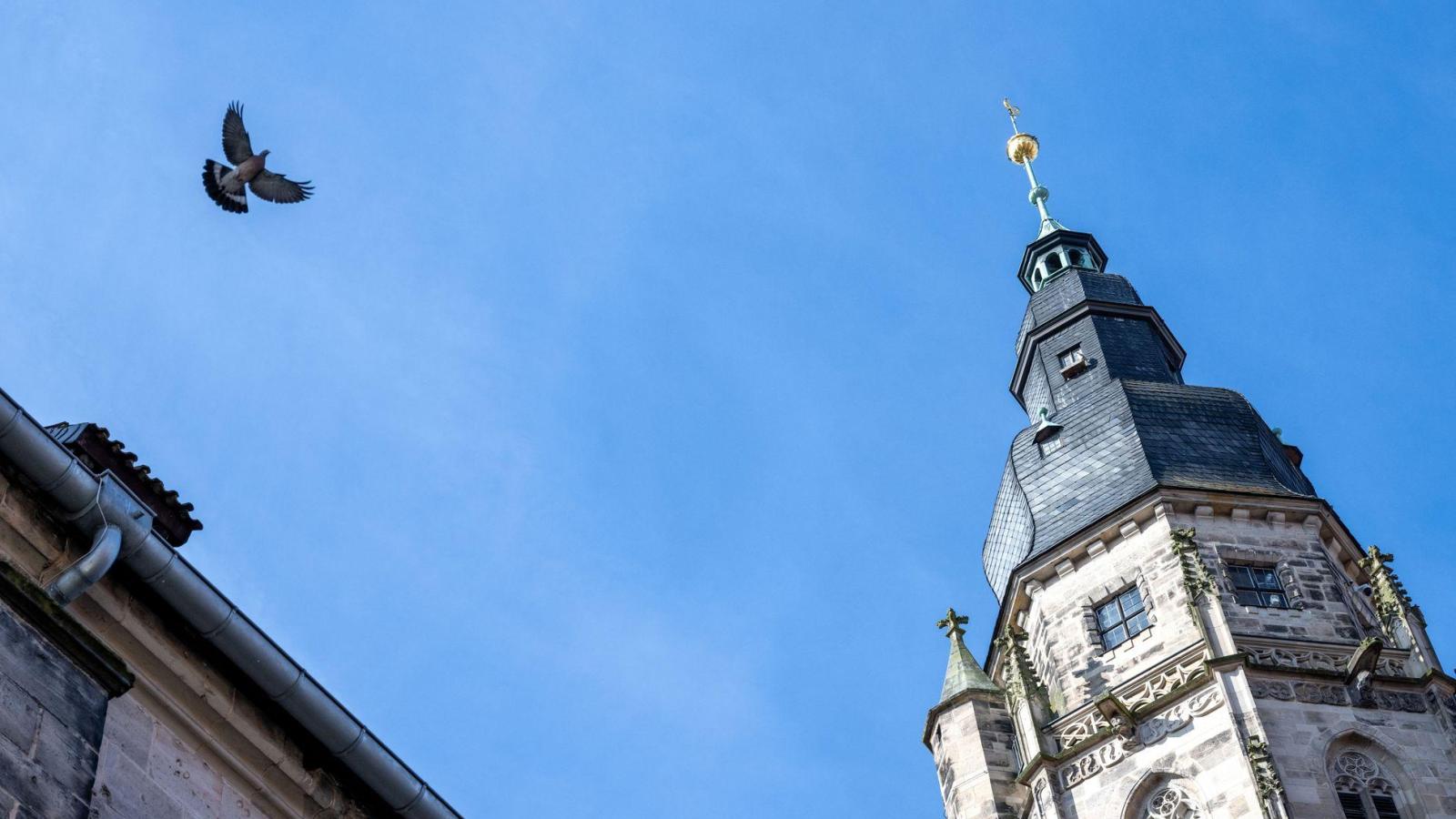 Wer hat am Buß- und Bettag frei – und wer nicht? | FLZ.de