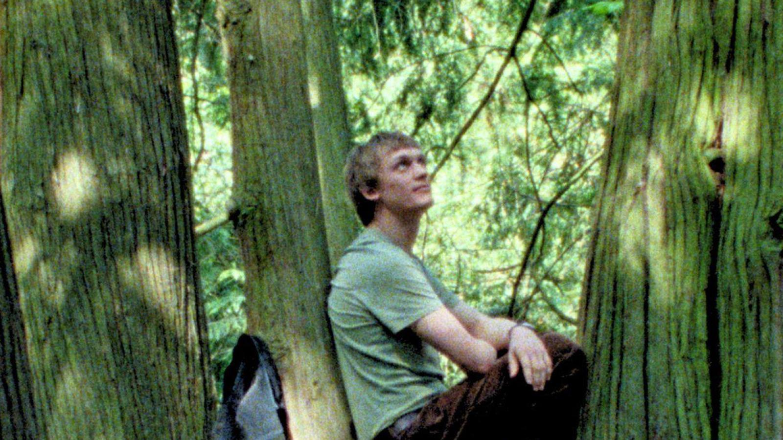 Wenn ein Ginkgo Geschichten erzählt | FLZ.de